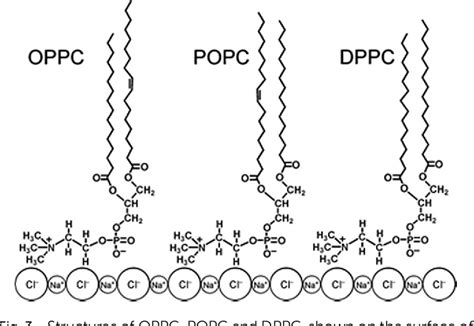 Ozonide Semantic Scholar