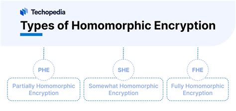 Homomorphic Encryption Securing Ai Data Processing In 2025 Techopedia