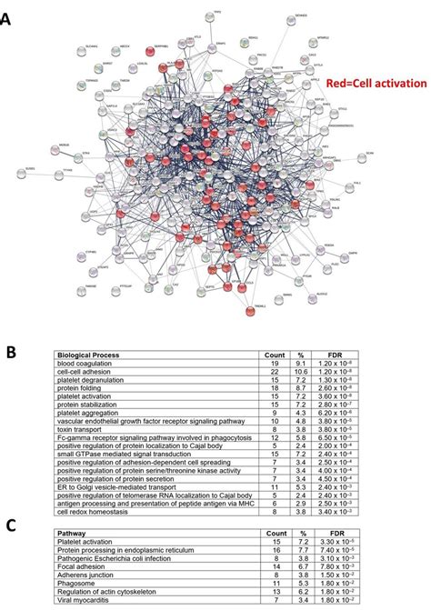Network And Pathway Analysis Of The Significantly Modulated Proteins In Download Scientific