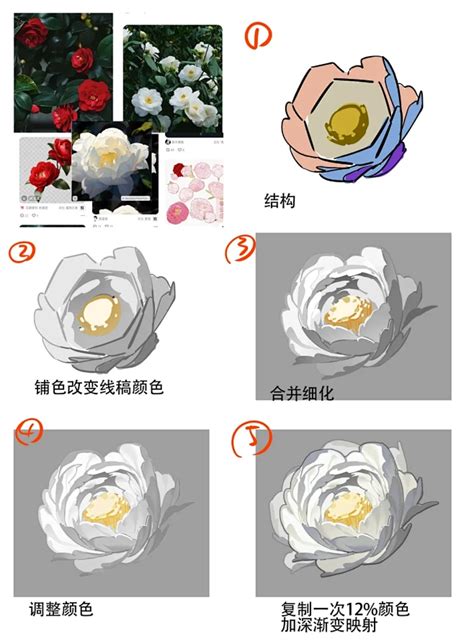 教程来咯 小红书 花瓣网