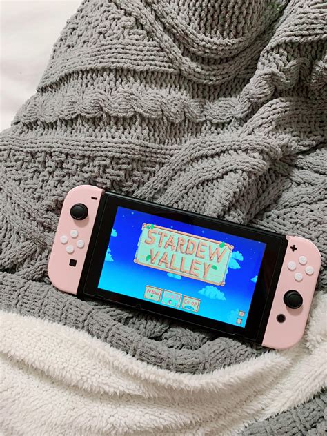 Finally Got Sdv For The Switch Ive Been Playing On Mobile Until Now So While Its A Bit