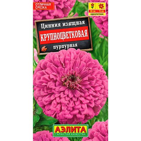 Купить Цинния Крупноцветковая пурпурная недорого по цене 24руб.|Garden ...