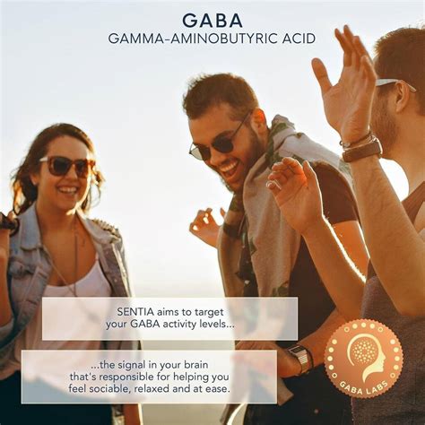 Sentia Red Gaba Spirit 50cl Non Alcoholic By Dry Drinker