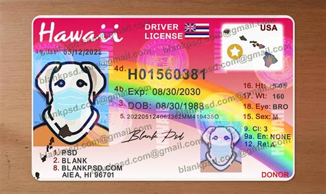 Hawaii Drivers License Template New V2 Blank Psd