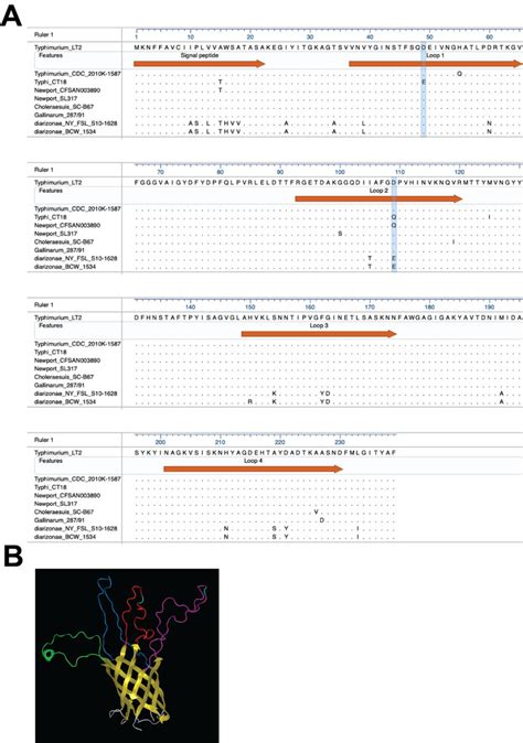 PagN Sequences And Predicted Structure A Alignment Of PagN Alleles