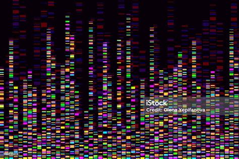 Dna 테스트 인포그래픽 벡터 그림입니다 게놈 서열 맵 설계용 템플릿입니다 배경 배경 화면 바코드 빅 유전체 데이터 시각화 Dna에 대한 스톡 벡터 아트 및 기타 이미지