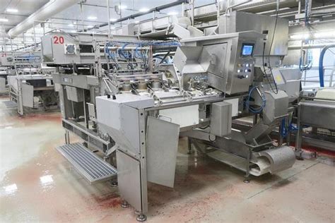 Used Baader Filleting Lines For Herrings And Mackarel For Sale In