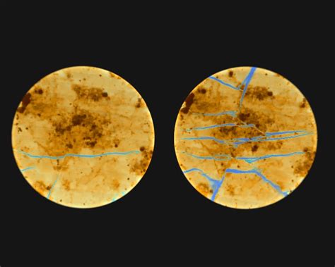 [video] Anna Herring Posted On Linkedin