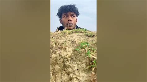 खेत मे हगने वाला मिला गाया😂😂funny Realfoolssurajroxfunnyvibeo