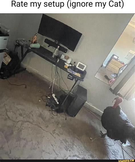 rate my setup ignore my cat ifunny