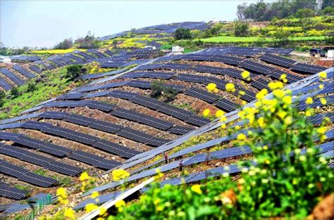 受惠中國搶裝潮 台太陽能廠5月進補 自由財經