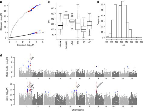 Phenotypic Distribution And Genome Wide Association Scan For Plant