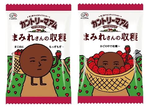 不二家「カントリーマアムまみれさんの収穫box」発売、ココア×いちご果汁のしっとりチョコクッキー、スーパーまみれさんカード付き 食品産業