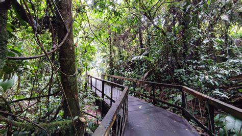 Puerto Limon „per Seilbahn Und Zu Fuß Durch Den Veragua Regenwald 2023