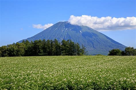 ニセコ倶知安真狩から見た羊蹄山の写真を貼っていこう ロプログ
