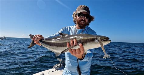 Easy Way To Catch Grouper And Cobia Nearshore