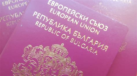 МВнР проверява служебните и дипломатическите паспорти след случая с ...