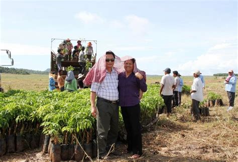 ហ៊ានម៉េះ ចំការដូងប្រេង និងកៅស៊ូខំប្រឹងថែជាង ២០ឆ្នាំ របស់លោកឧកញ៉ា ម៉ុង ឫទ្ធី ត្រូវគេលួចដុត