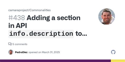Adding A Section In Api `infodescription` To Provide Rationale For Not Documented Error