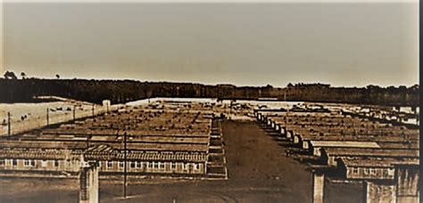 Holocaust Sex Slaves History Of Sorts