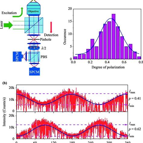 Schematic Of Experimental Setup And Results Of Polarization Download Scientific Diagram