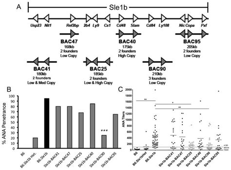 B Cell Intrinsic Cd84 And Ly108 Maintain Germinal Center B Cell Tolerance Abstract Europe Pmc