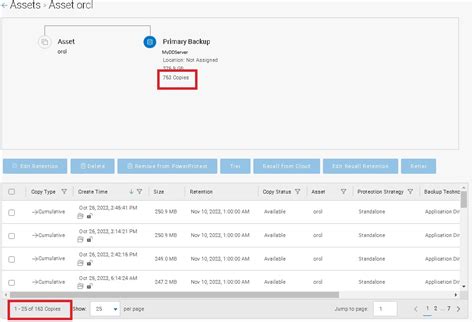 Powerprotect Data Manager View Copies Count Of Items Does Not Match