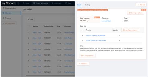 Websoft Nocobase