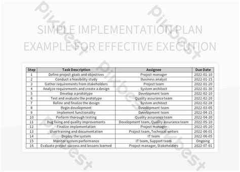 Example Implementation Plan For Successful Execution Excel Template
