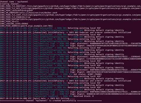 Hyperledger Fabric Hello World With Blockchain Network Analytics Yogi