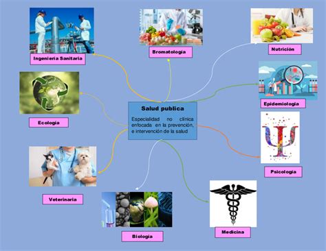 Arriba 106 Imagen Mapa Mental Salud Publica Abzlocal Mx