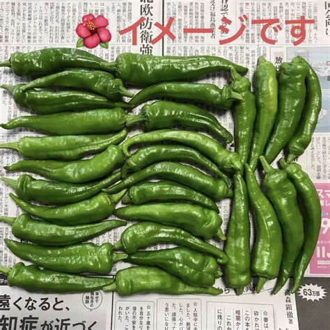 採りたて万願寺とうがらし メルカリ