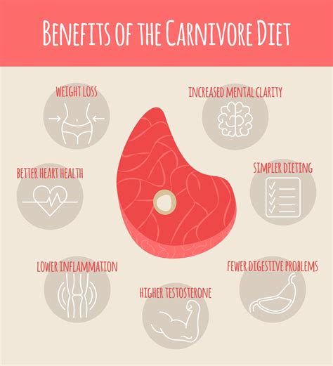 Vector Illustration Of Results And Benefits Of Carnivore Diet Healthy