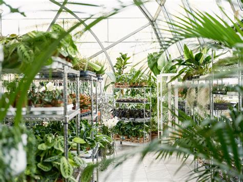 The Hidden Forest ∙ The Hidden Forest ∙ Skriti Gozd