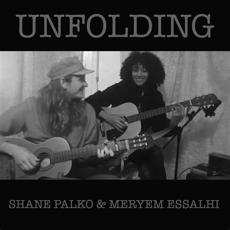 Shane Palko Unfolding Parapop