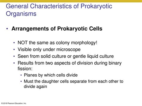 Ppt Microbiology Powerpoint Presentation Free Download Id334338