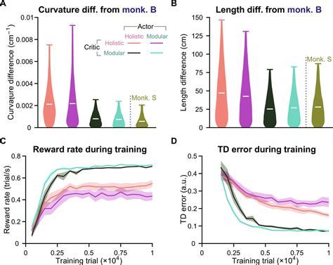 A New Study Shows That Modular Brain Science Advances