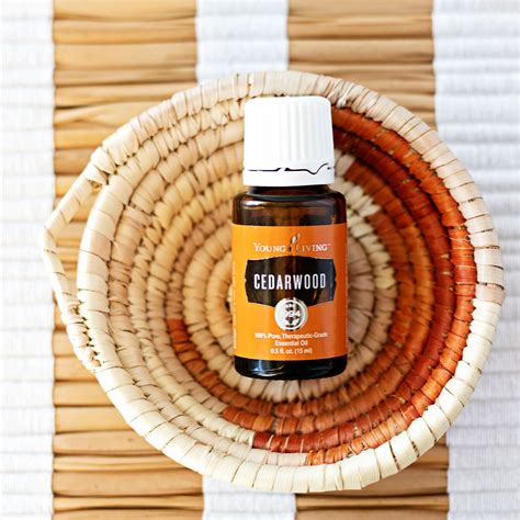 Cedarwood Essential Oil Blends For Diffuser Recipes And More
