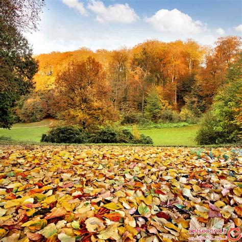 بی نظیرترین عکس های پاییزی 🍂 لست سکند