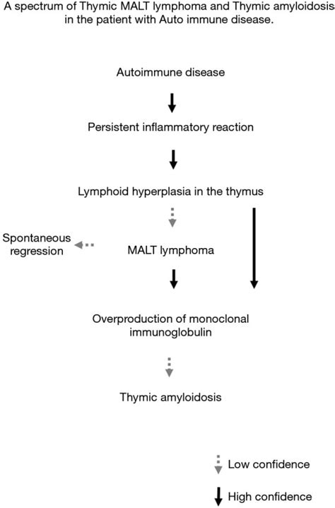A Spectrum Of Thymic Mucosa Associated Lymphoid Tissue Lymphoma And