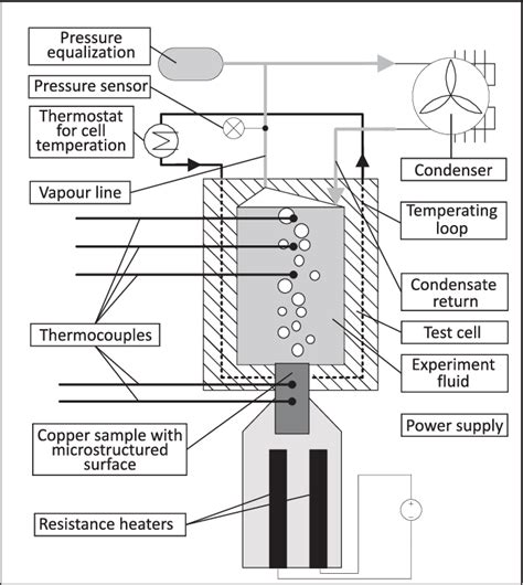 Schematic Experimental Setup Download Scientific Diagram