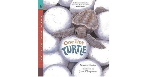 One Tiny Turtle By Nicola Davies Reviews Discussion Bookclubs Lists