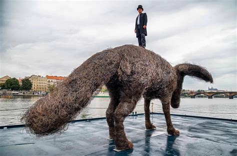 Vulpes Gott Kudy Z Nudy