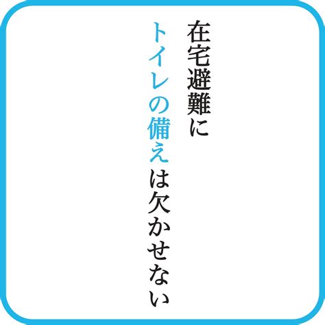 自主活動 日本トイレ研究所（japan Toilet Labo）