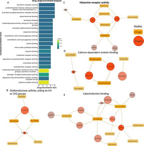 Prioritized Drug Targets Pathways And Binding Top Enriched Gomf Download Scientific Diagram
