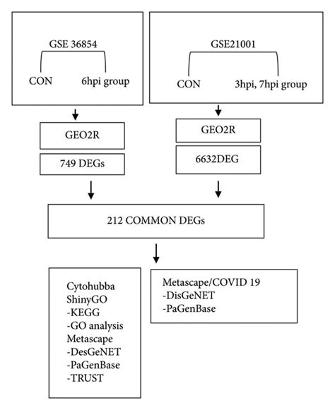 Flowchart Of The Present Study A Study Design Of The Present Study