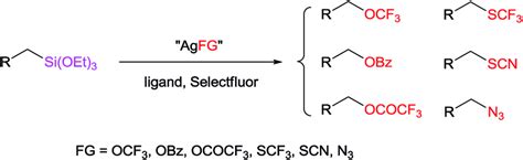 Silver Mediated Oxidative Functionalization Of Alkylsilanes Download