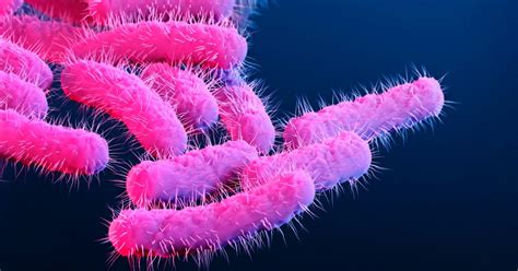 The Cdc Warns Of An Increase In Antibiotic Resistant Stomach Infections