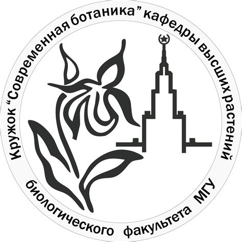 ОГЭ ЕГЭ