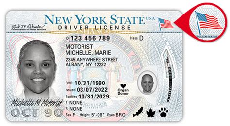 Check Your DMV Road Test Results In New York